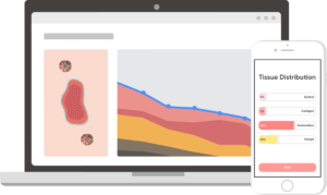 Digital Wound Management - Healthy